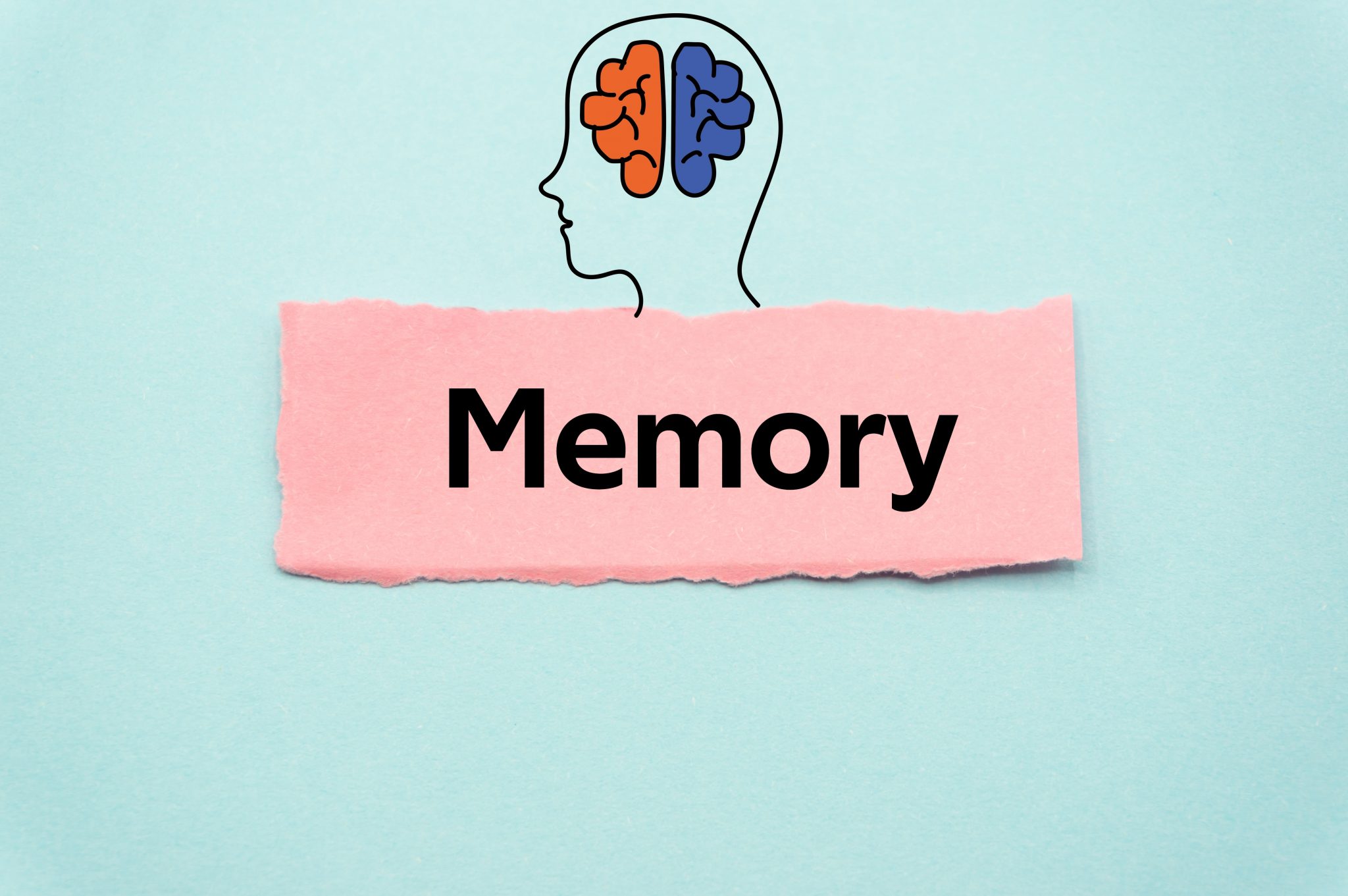 Tips for Improving Memory Retention and Recall – Healthy Daily Club