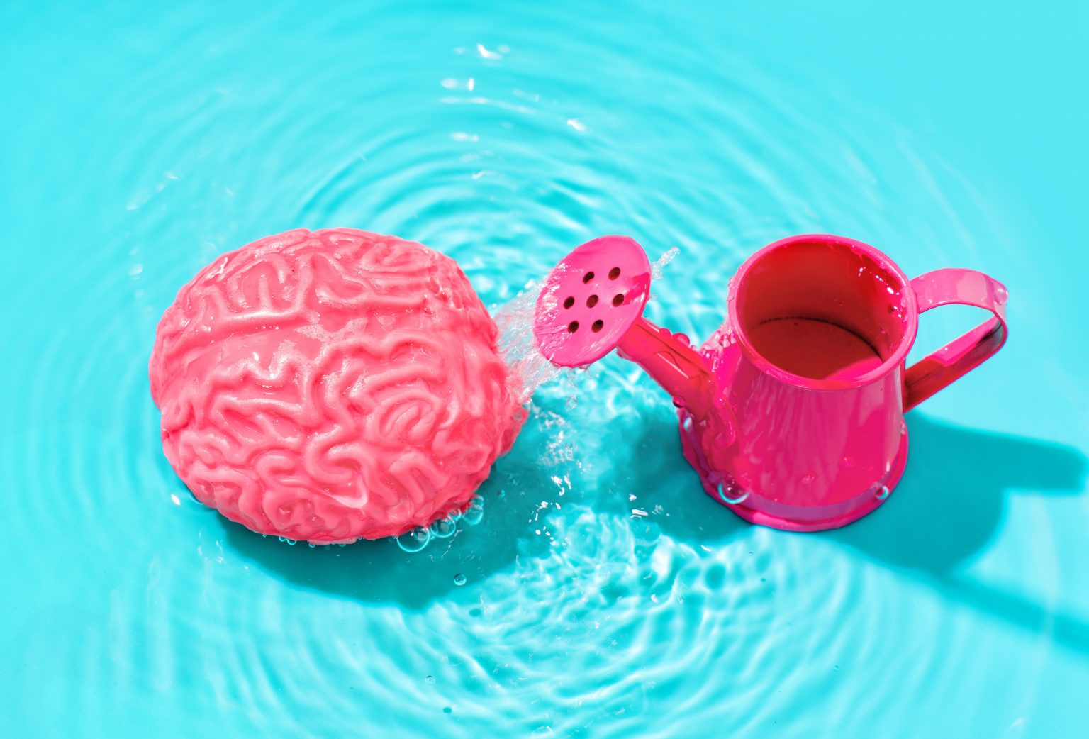 The role of hydration in brain health – Healthy Daily Club